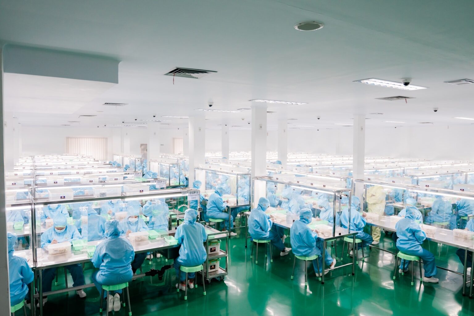 PT Cefa Indonesia Sejahtera Lestari - Best Swallow's Nest